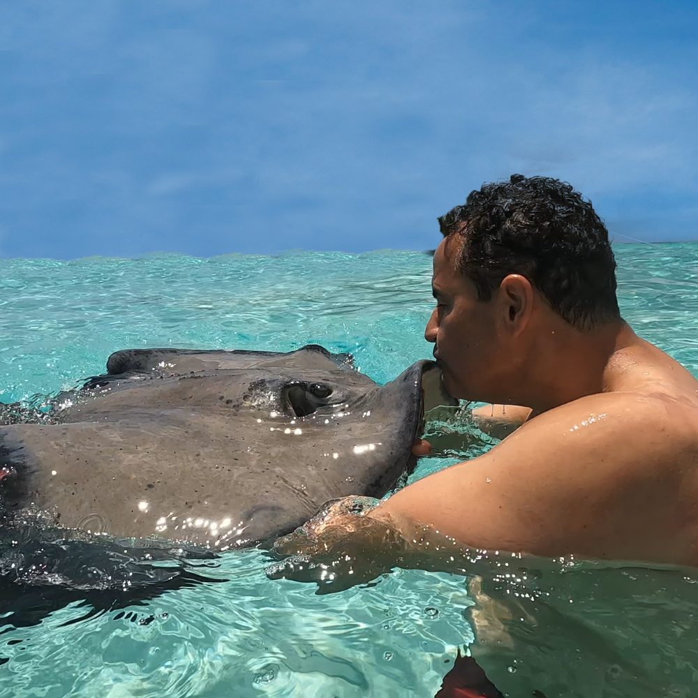 Forget the bling of Barbados, the Cayman Islands Offer Swimming With S ...